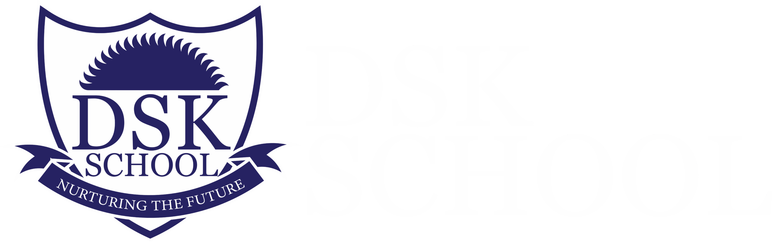 DSK School